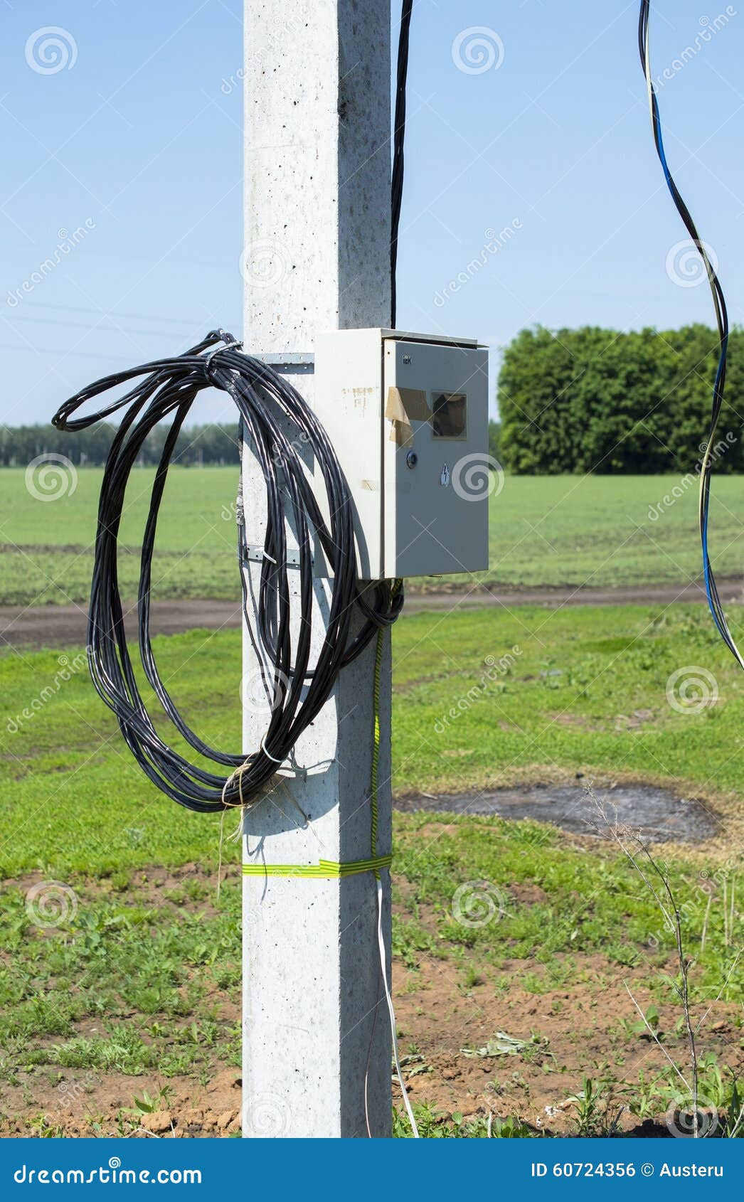 Column Switches For Input Switchgear. Power Electrical Disconnect ...