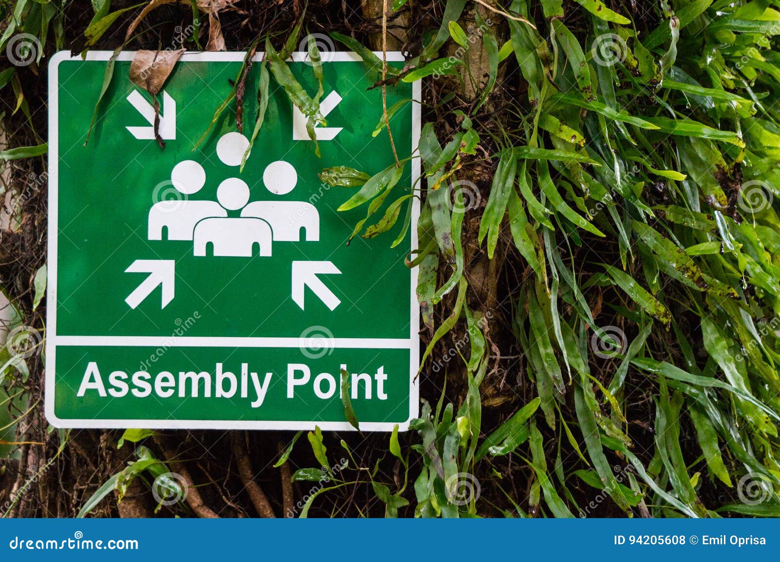 Assembly Point stock photo. Image of group, evacuation - 94205608