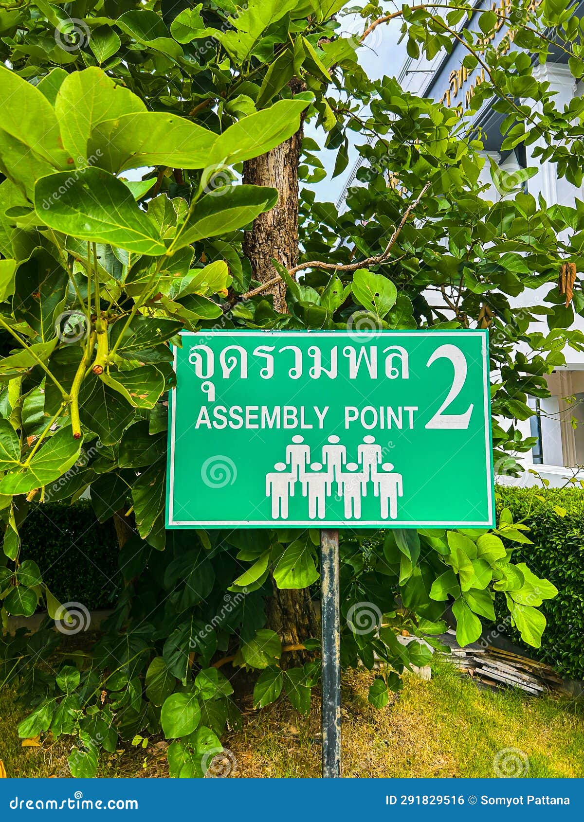 Assemble point stock photo. Image of garden, assemble - 291829516