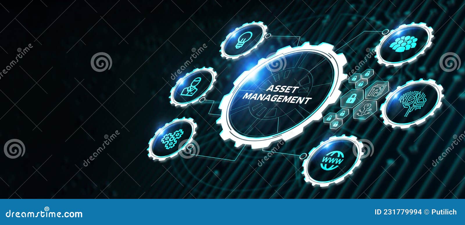 Asset Management. Business, Technology, Internet and Network Concept ...