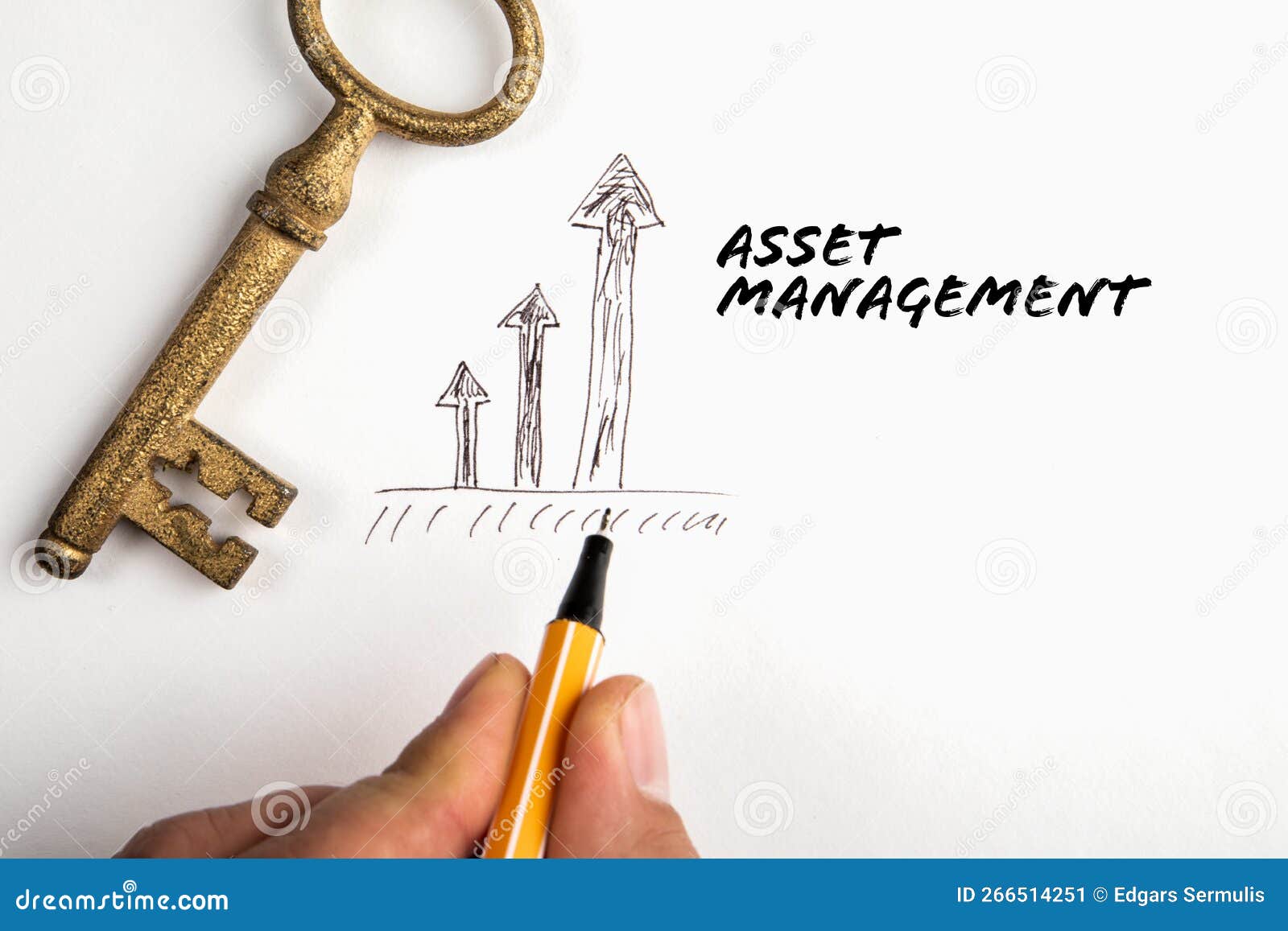 Asset Management Concept. Development Arrows and Key on White Text ...