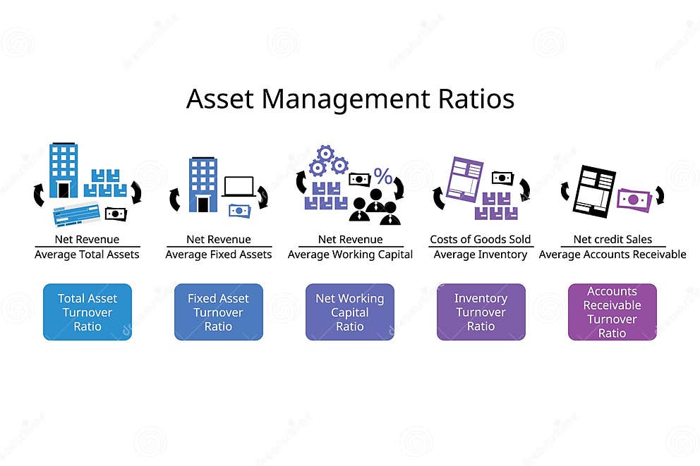Asset Management Ratios or Asset Turnover Ratios or Asset Efficiency ...