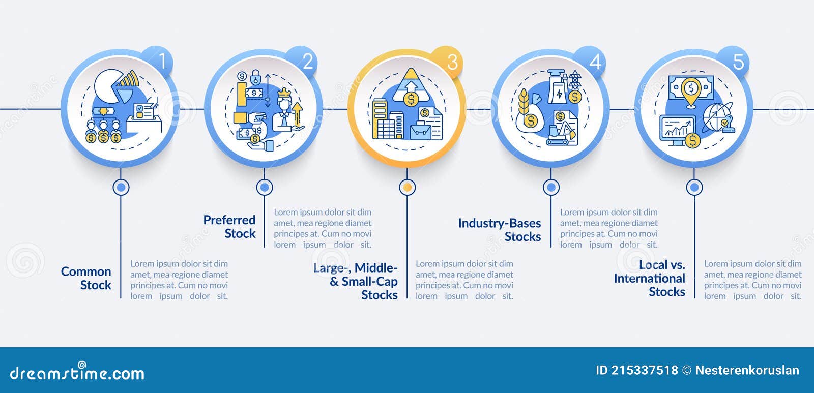 Assets Types Vector Infographic Template Stock Vector - Illustration of ...