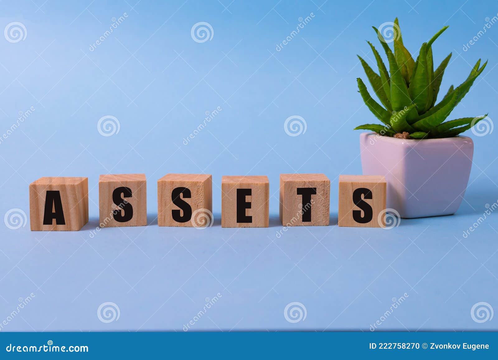 Assets Word From Wooden Blocks With Letters Useful Or Valuable Thing