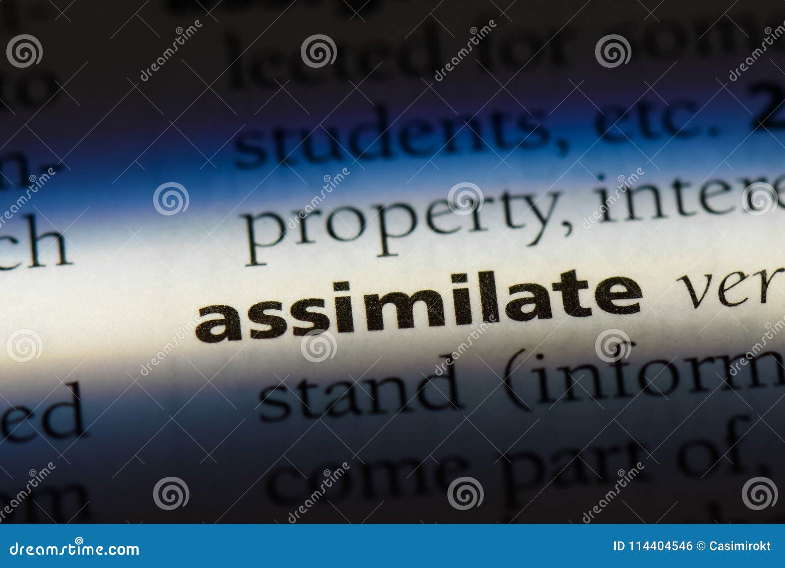 Assimilate stock photo. Image of paper, writing, printed - 114404546