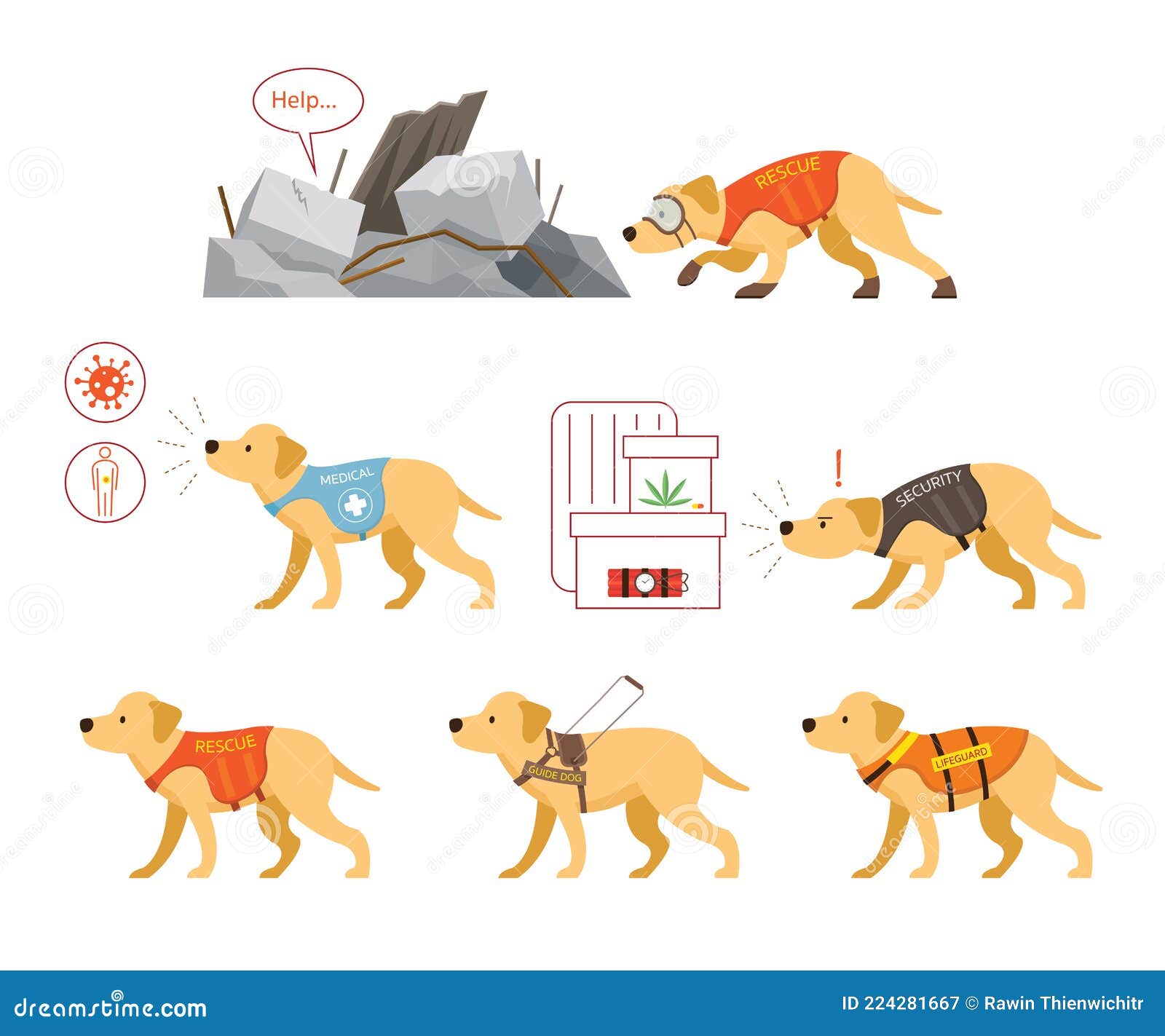 Assistance Dogs Set stock vector. Illustration of helping - 224281667