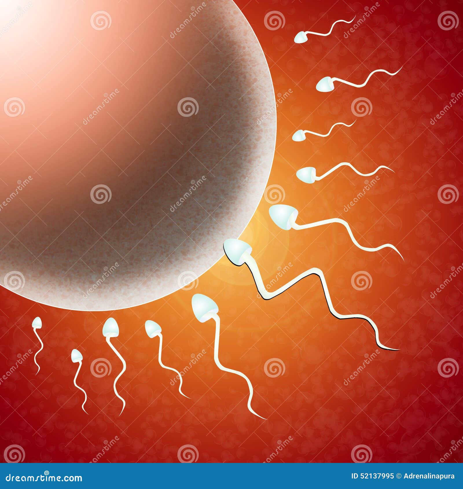 Assisted reproduction stock illustration. Illustration of reproductive ...