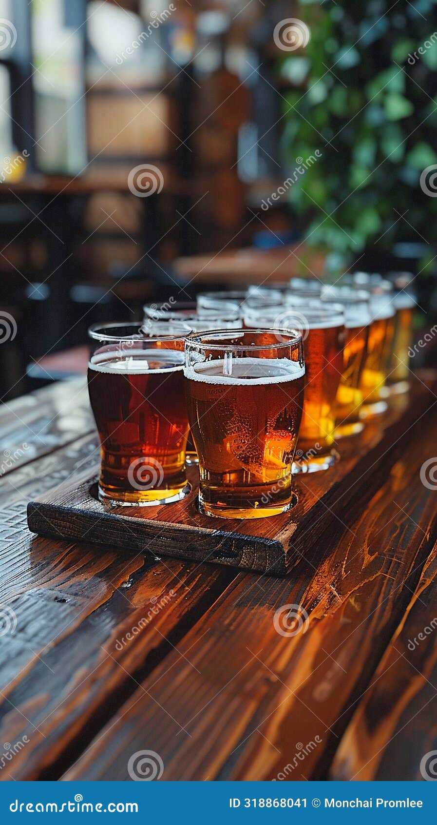 Assorted Ales Presented in a Beer Flight Sampler, Ready for a Tasting ...