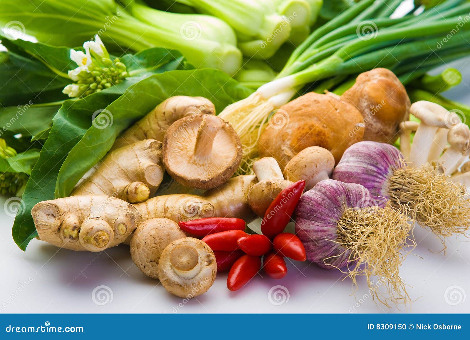 Assorted Asian vegetables stock photo. Image of group - 8309150