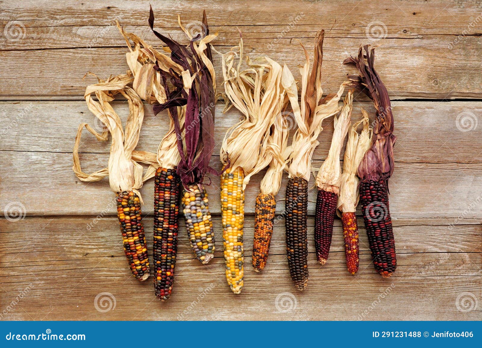 Assorted Autumn Dried Corn Husks Of Many Varieties Over Rustic Wood ...