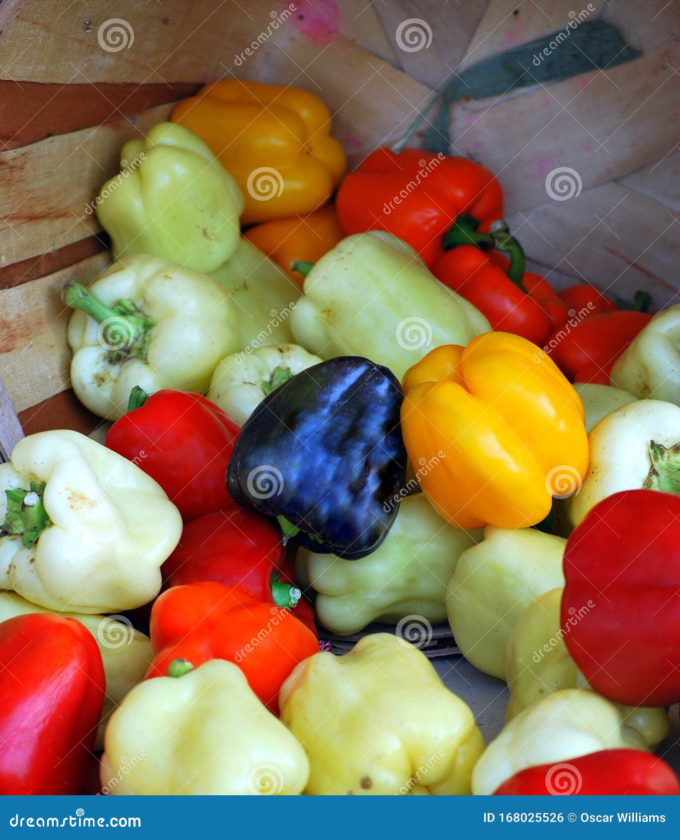 Assorted bell peppers. stock photo. Image of food, assorted - 168025526
