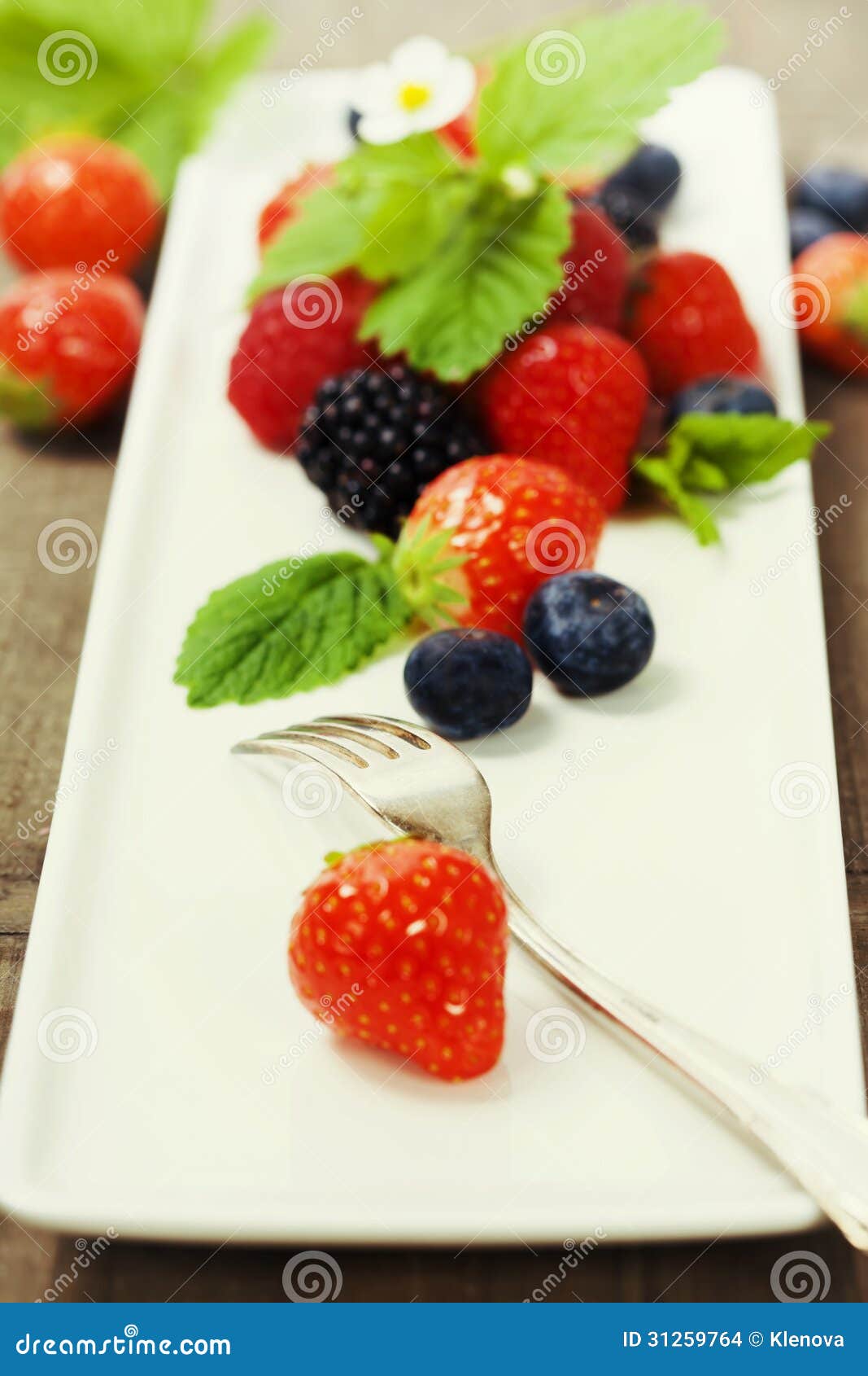 Assorted berries stock photo. Image of leaf, closeup - 31259764