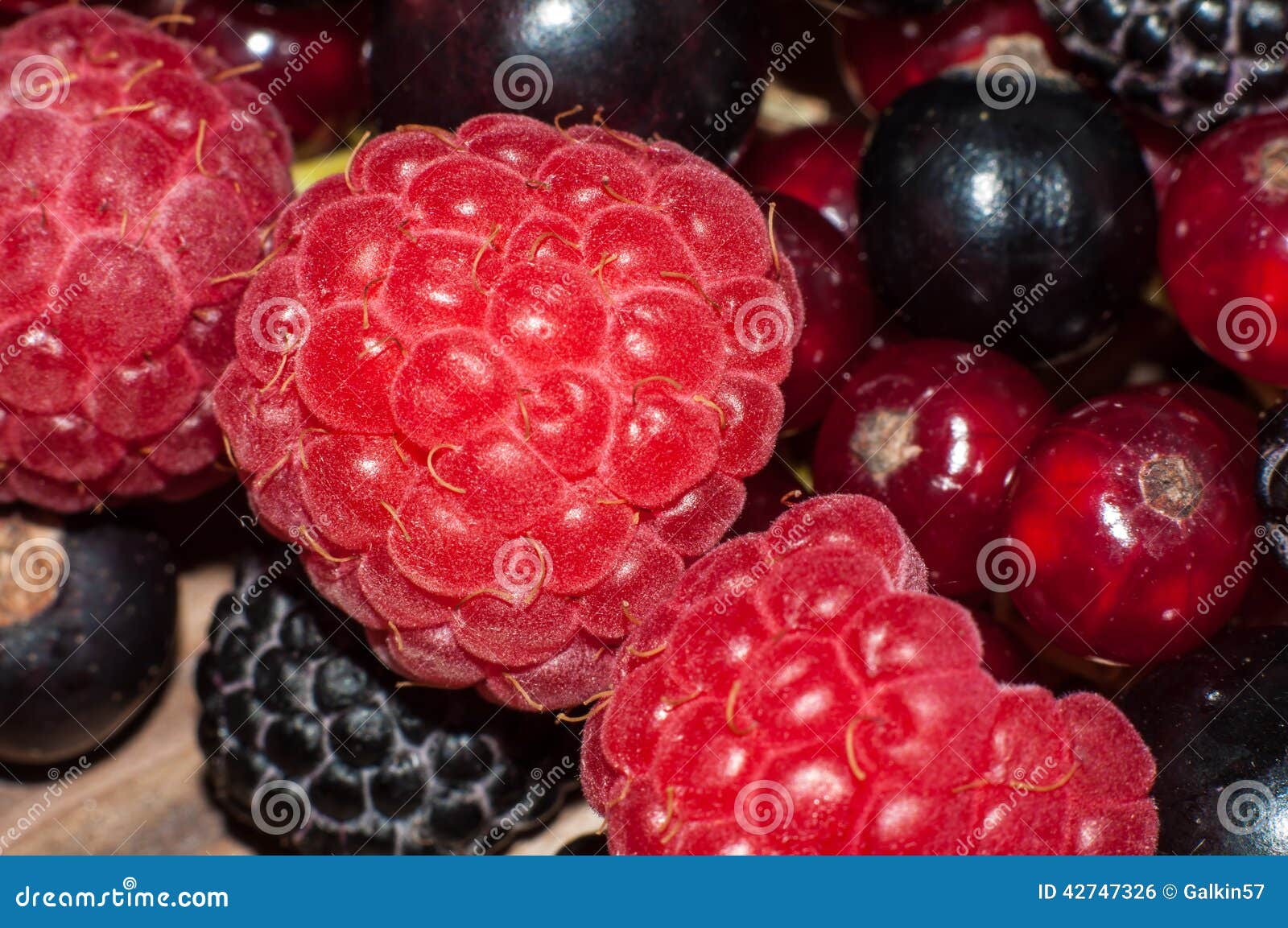 Assorted Berry stock photo. Image of group, juicy, nutrition - 42747326