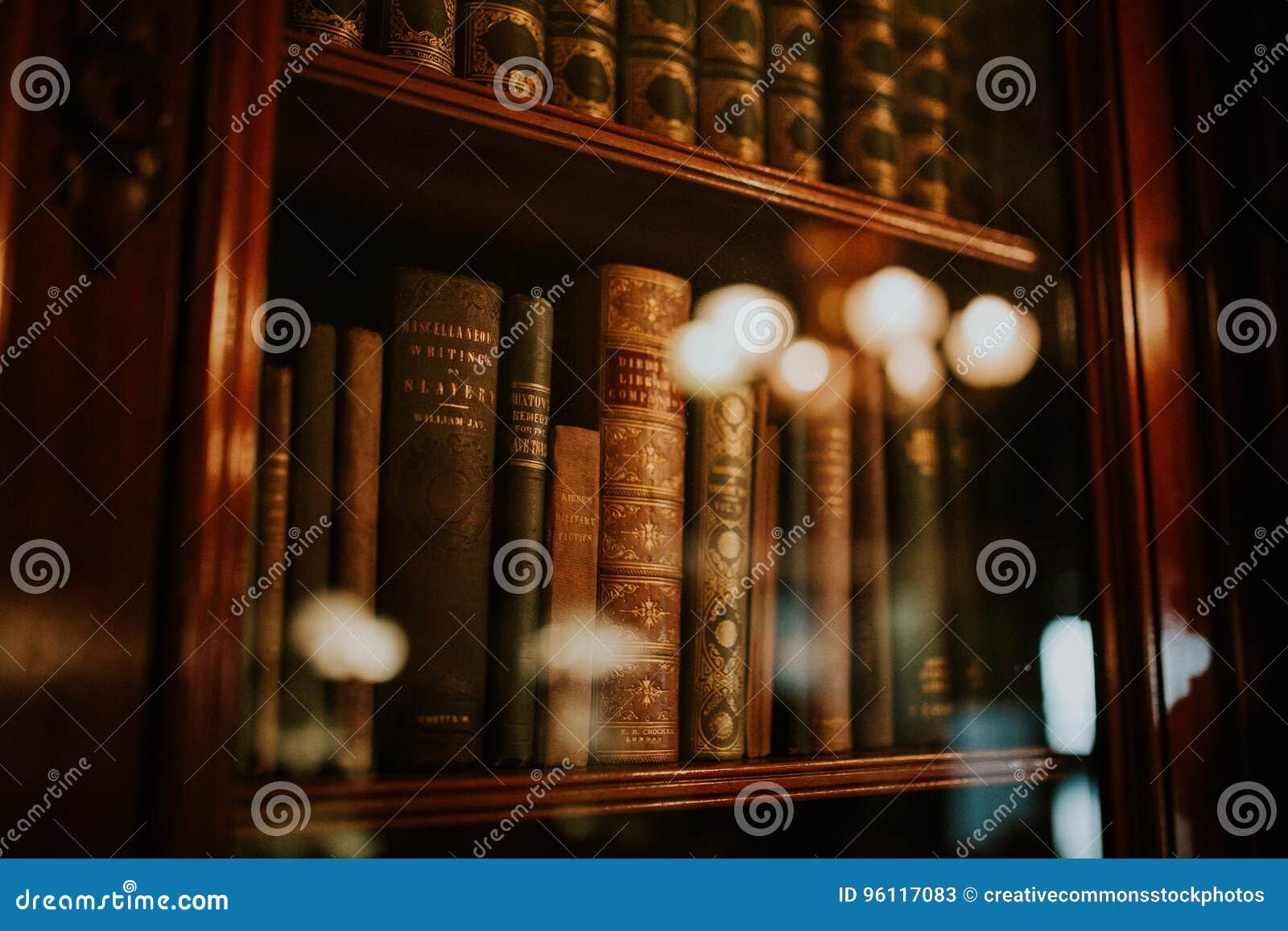 Assorted Books In Bookshelf Picture. Image: 96117083