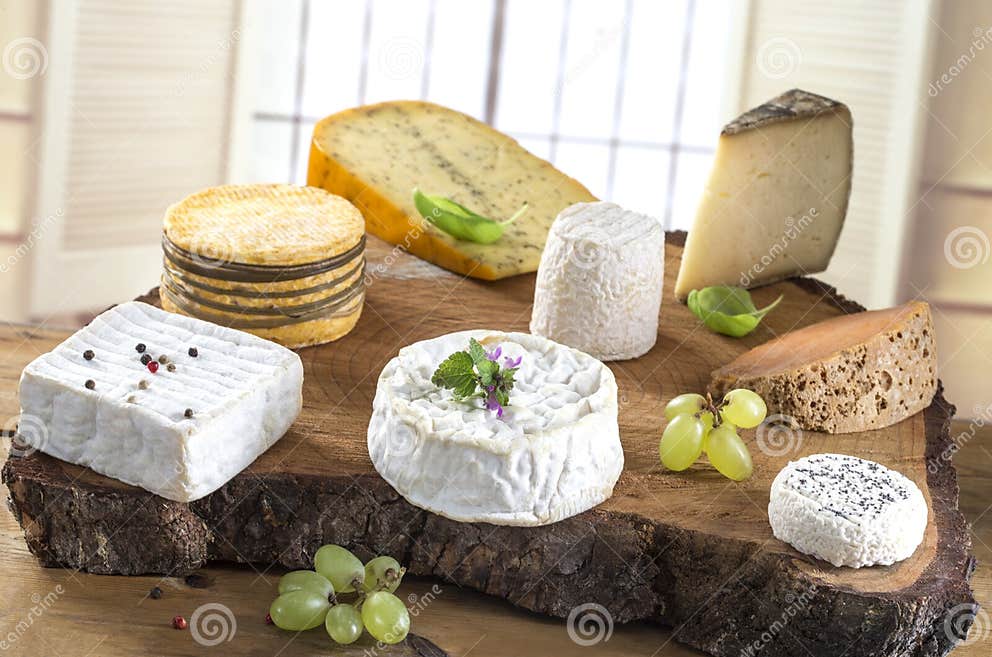 Assorted Cheeses in Various Shapes and Sizes Stock Photo - Image of ...