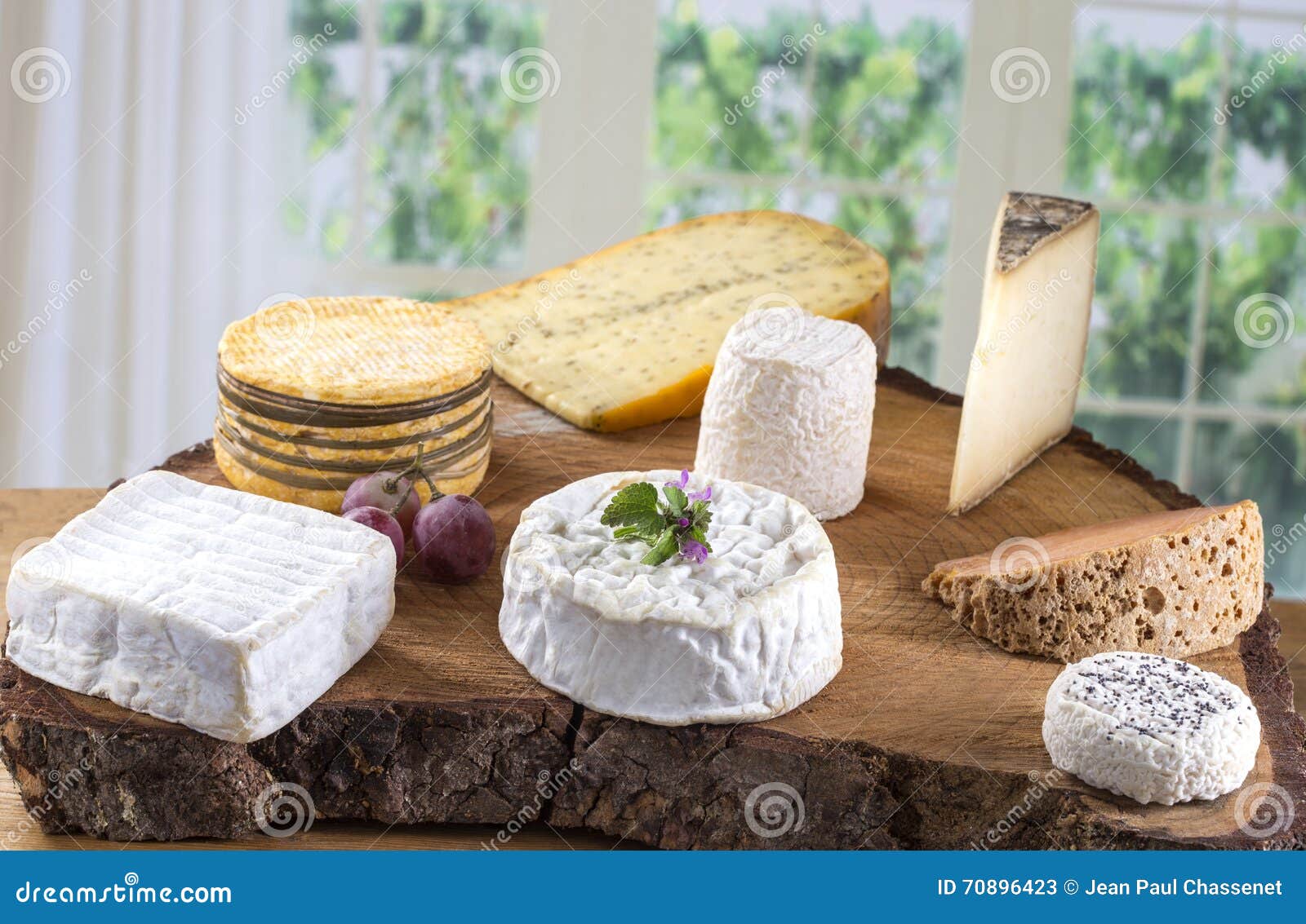 Assorted Cheeses in Various Shapes and Sizes Stock Image - Image of ...