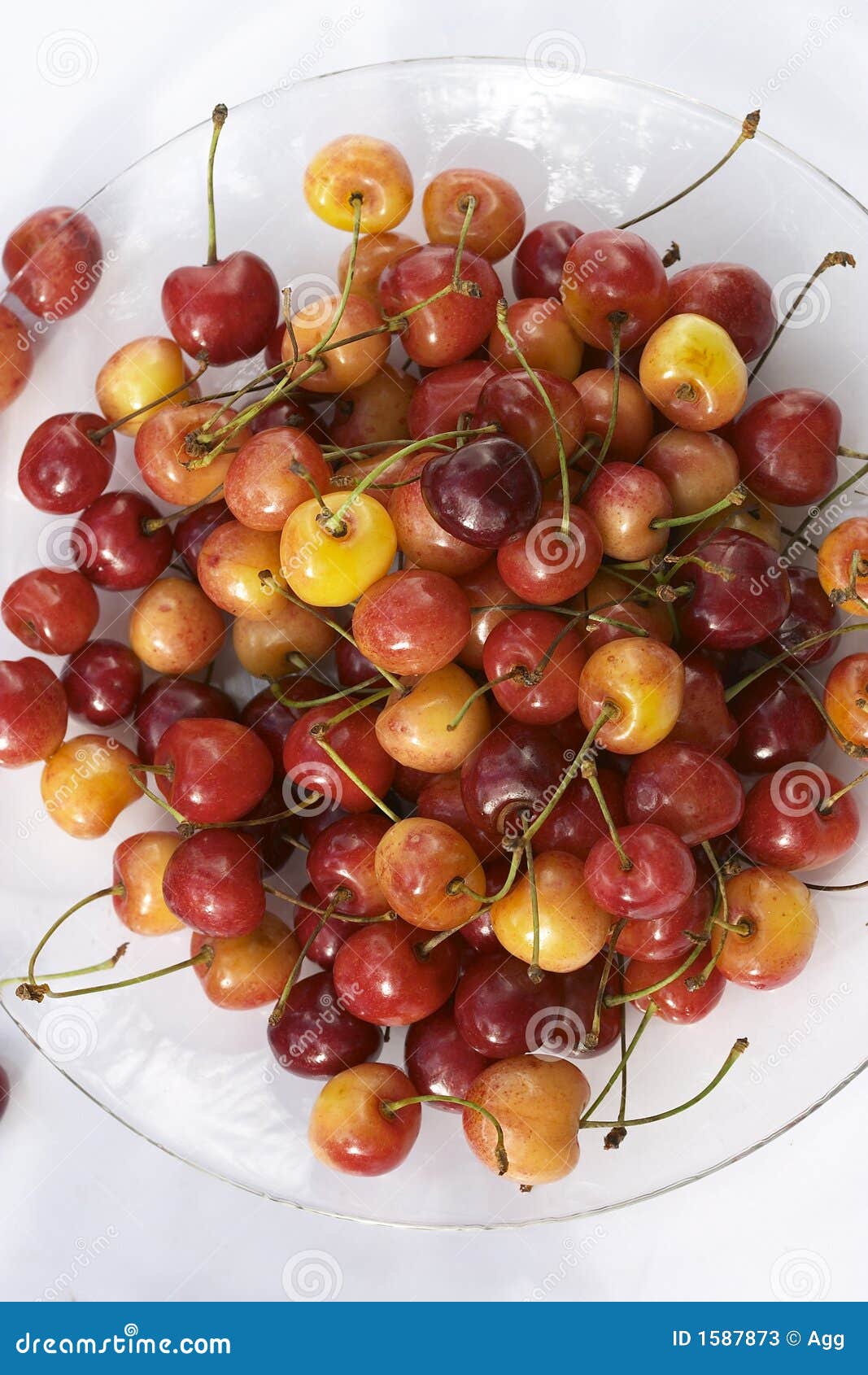 Assorted cherries stock image. Image of cherry, flora - 1587873