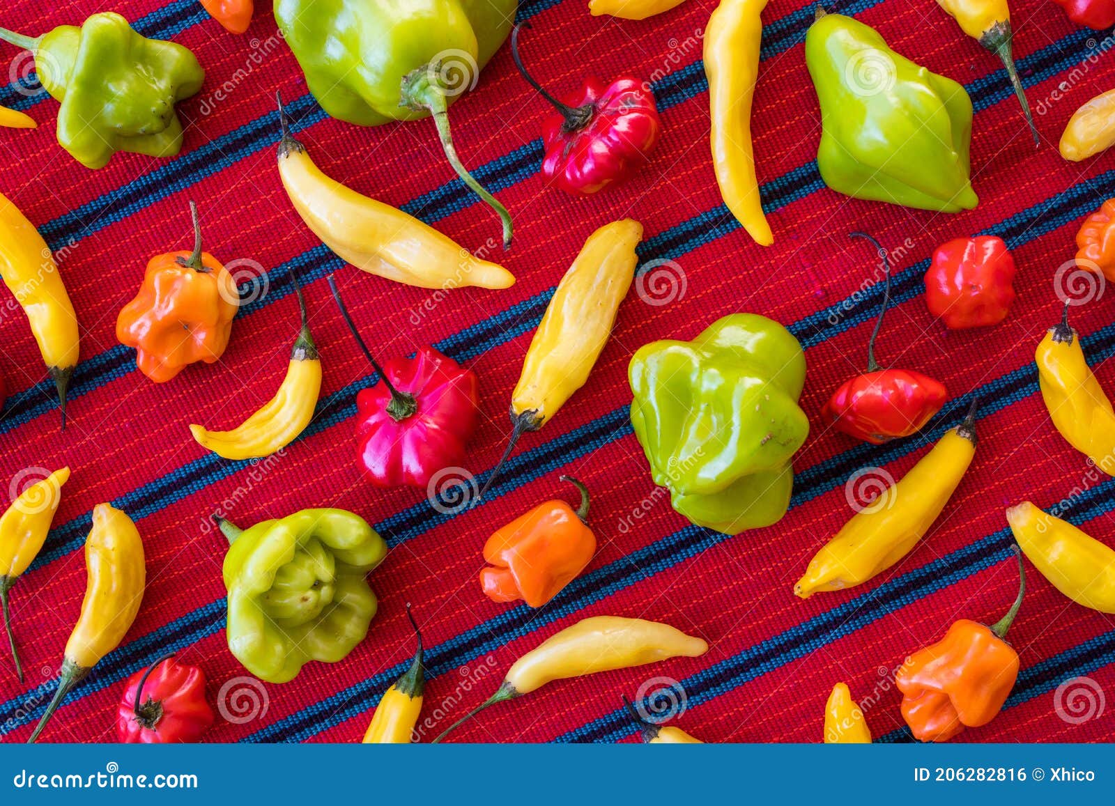 Assorted Colorful Chili Peppers in a Pattern Stock Photo - Image of ...