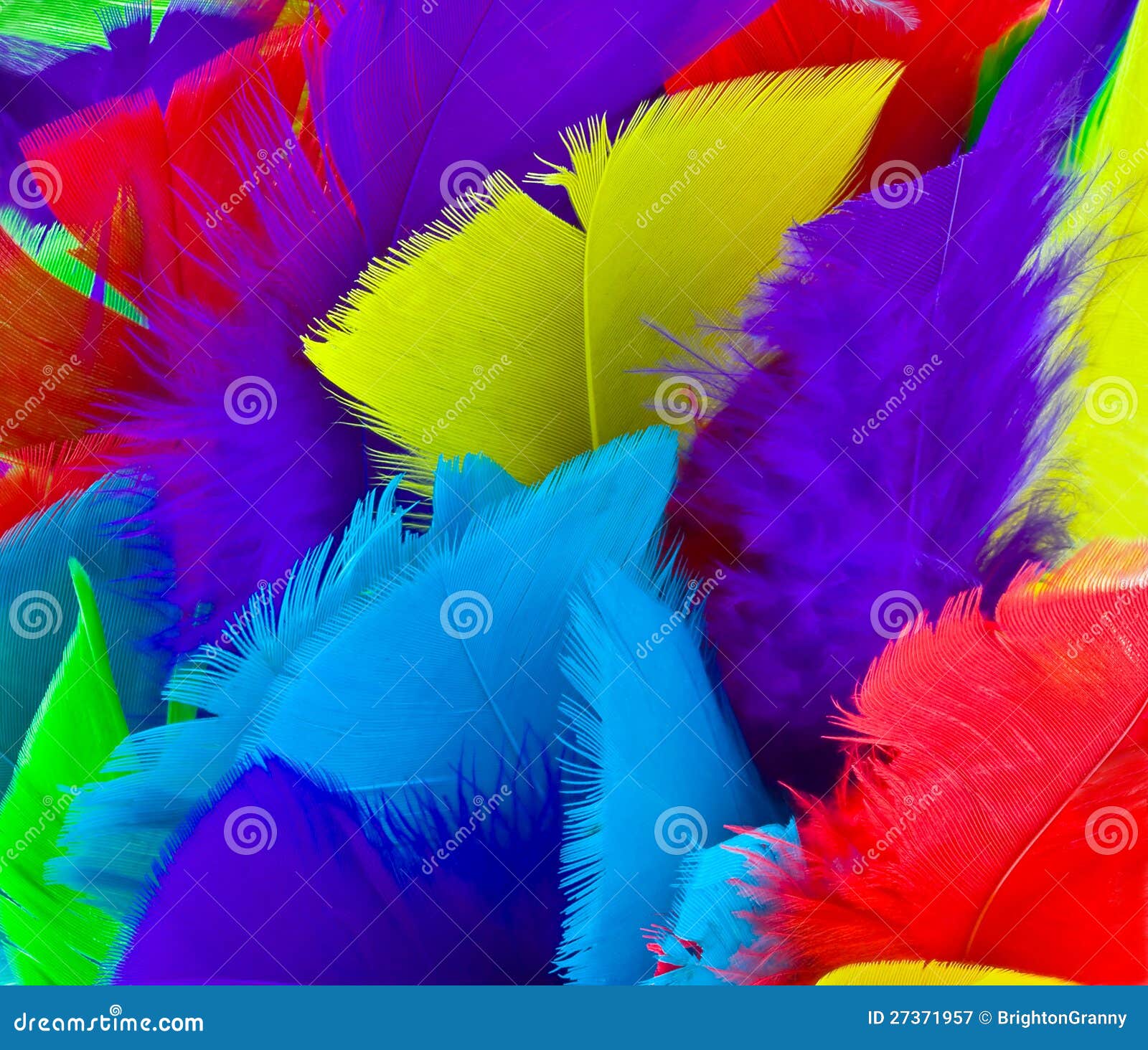 Assorted Colorful Feathers stock image. Image of softness - 27371957