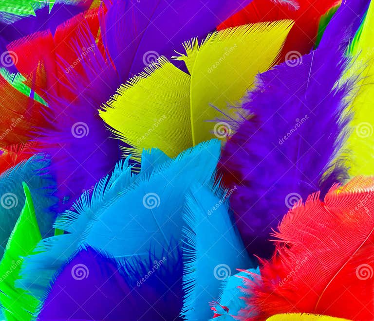 Assorted Colorful Feathers stock image. Image of softness - 27371957