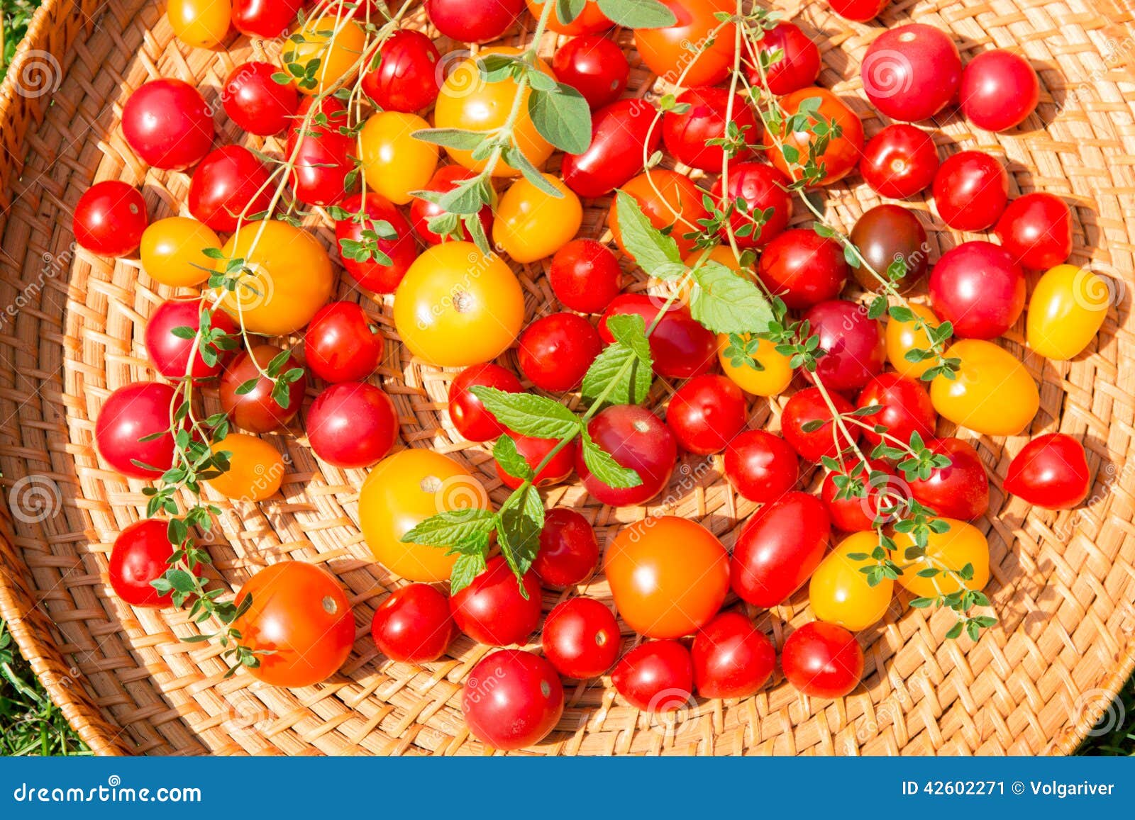 Assorted colorful tomatoes stock image. Image of appetizing - 42602271