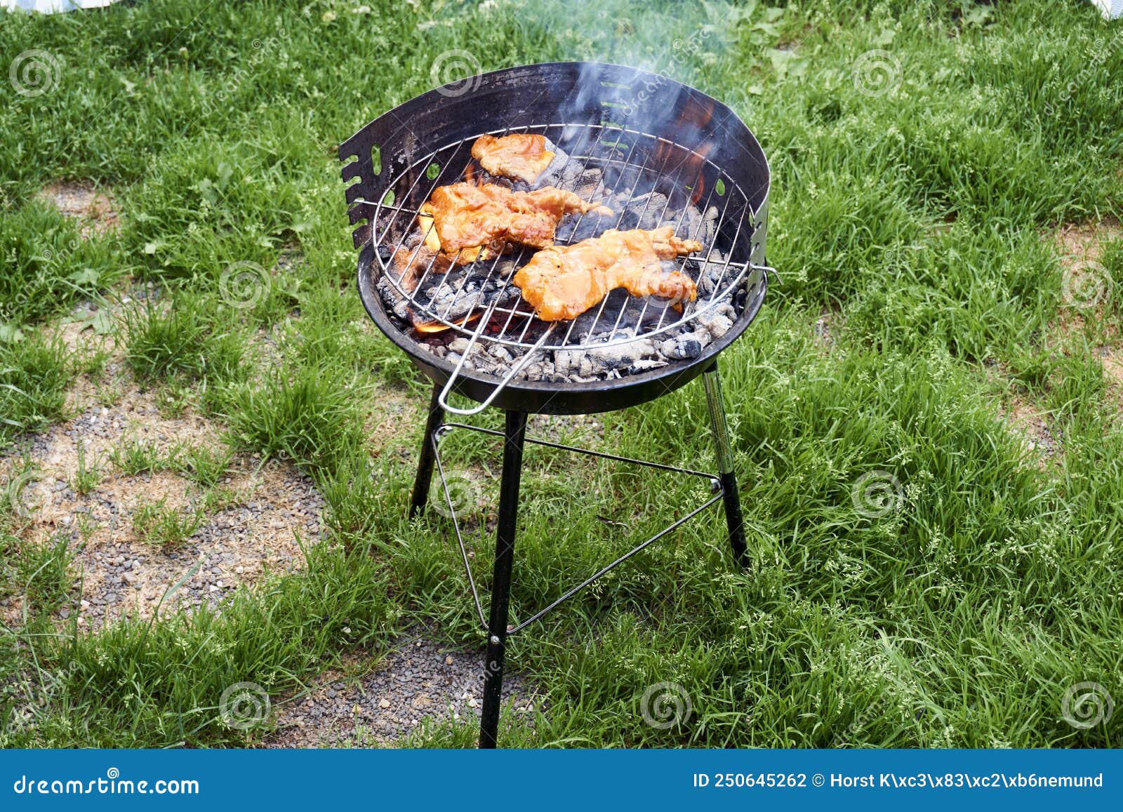 Assorted Delicious Grilled Meat Over the Coals on Barbecue Stock Photo ...