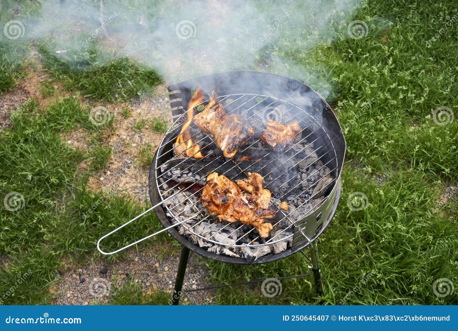 Assorted Delicious Grilled Meat Over the Coals on Barbecue Stock Image ...