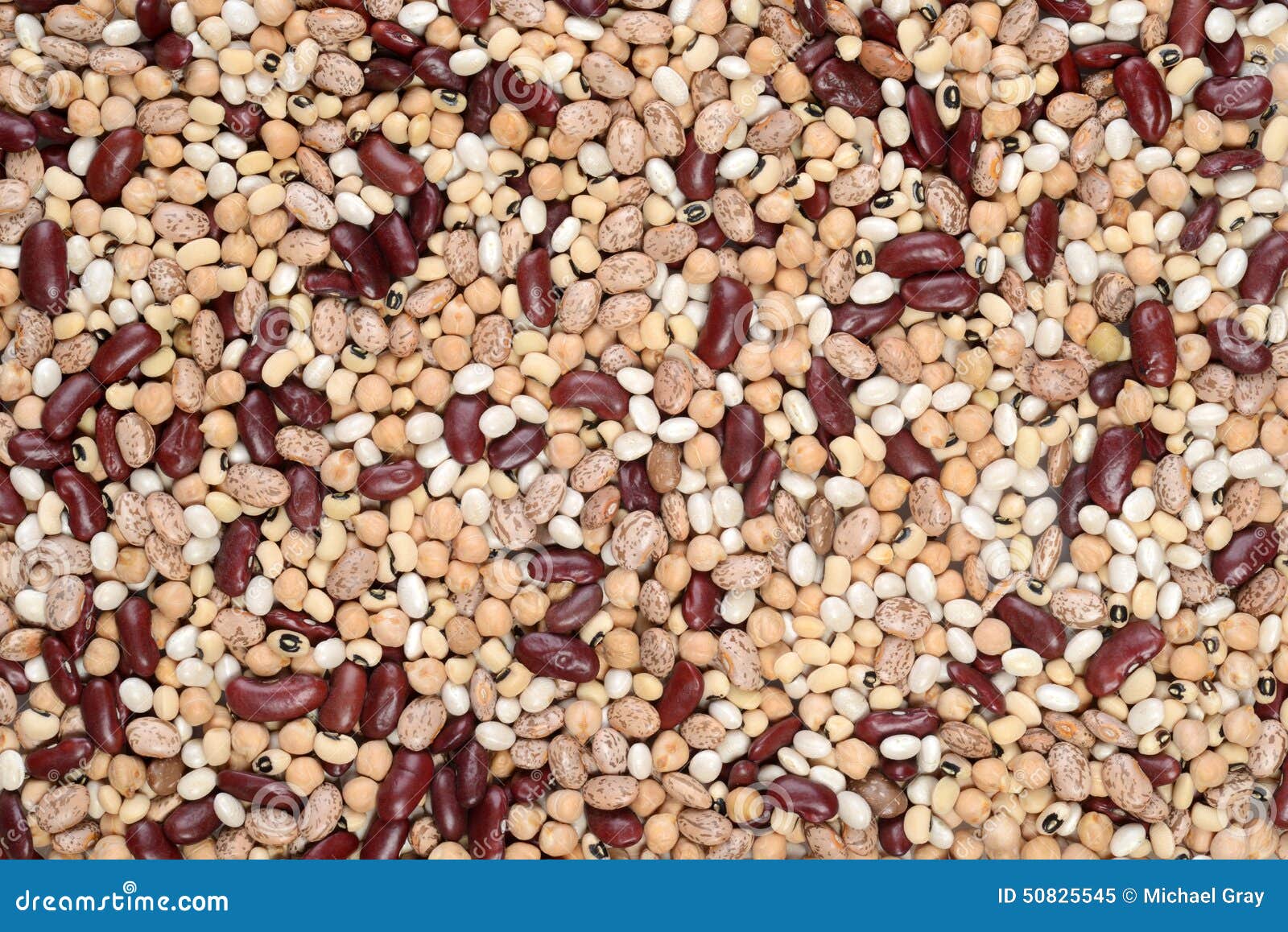 Assorted Dried Bean Background Stock Image - Image of navy, grain: 50825545