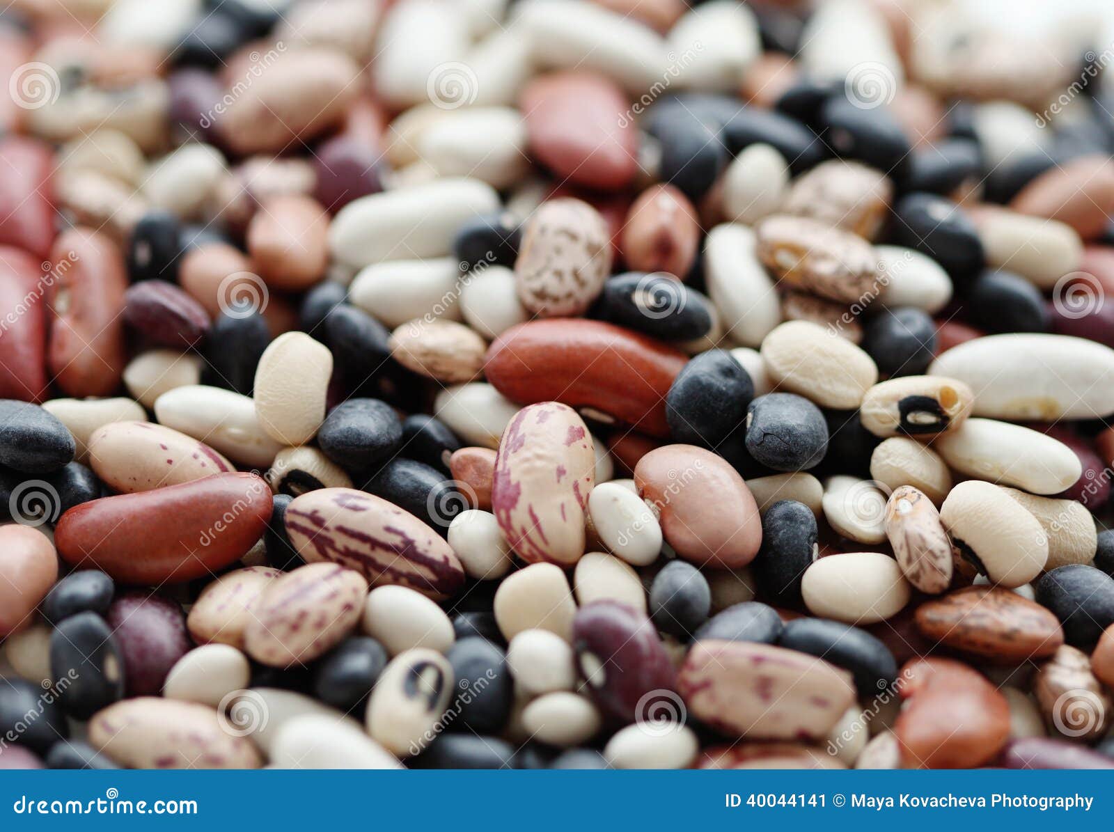 Assorted Dried Beans Background Stock Image - Image of closeup, bean ...