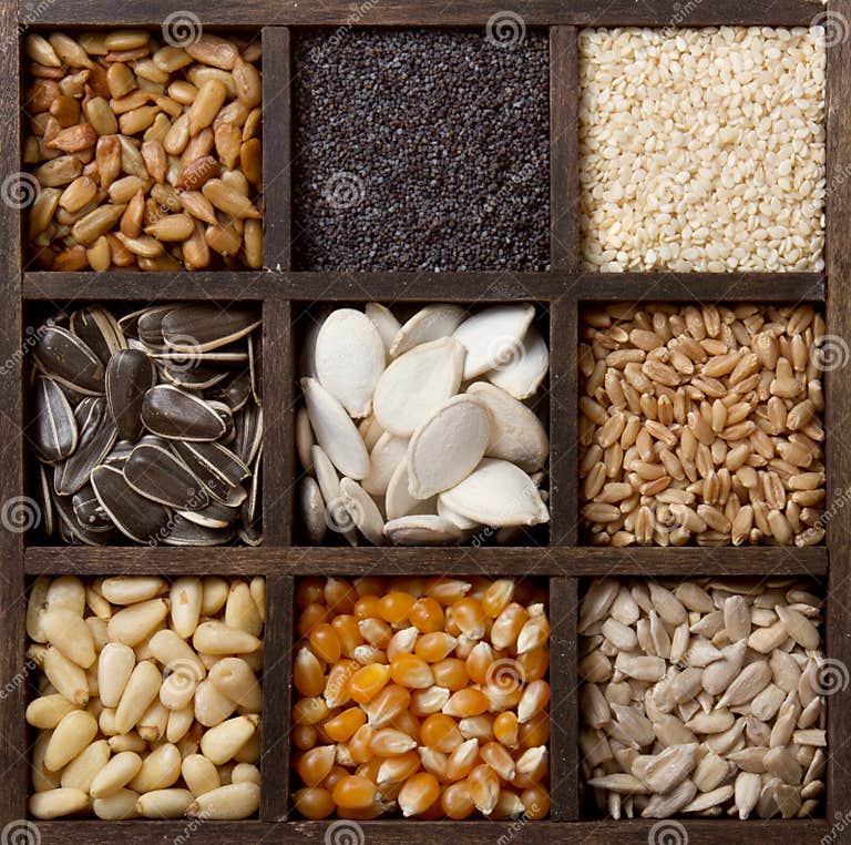 Assorted Edible Seeds Arranged in a Box Stock Image - Image of bowl ...