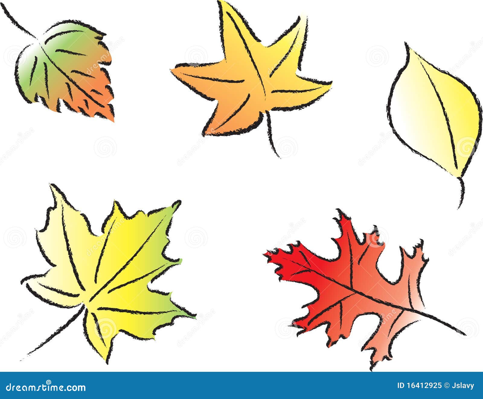 Assorted Fall Leaves stock vector. Illustration of seasonal - 16412925