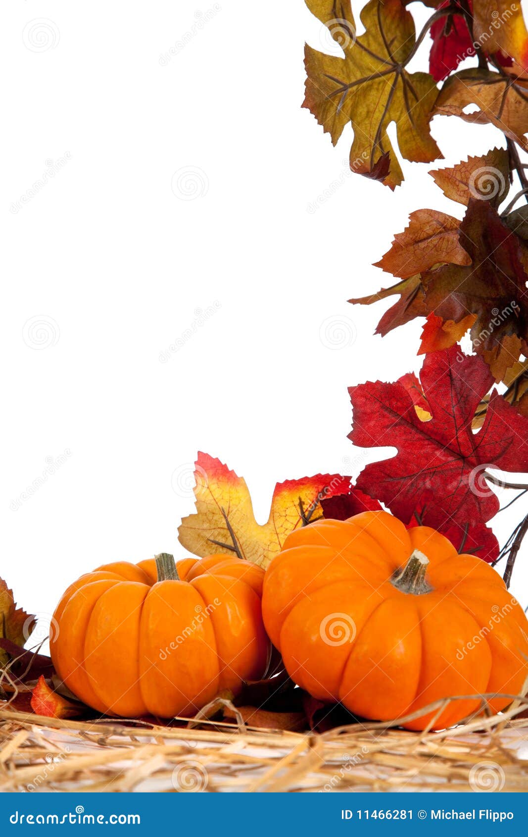 Assorted Fall Vegetables As a Background Stock Image - Image of food ...