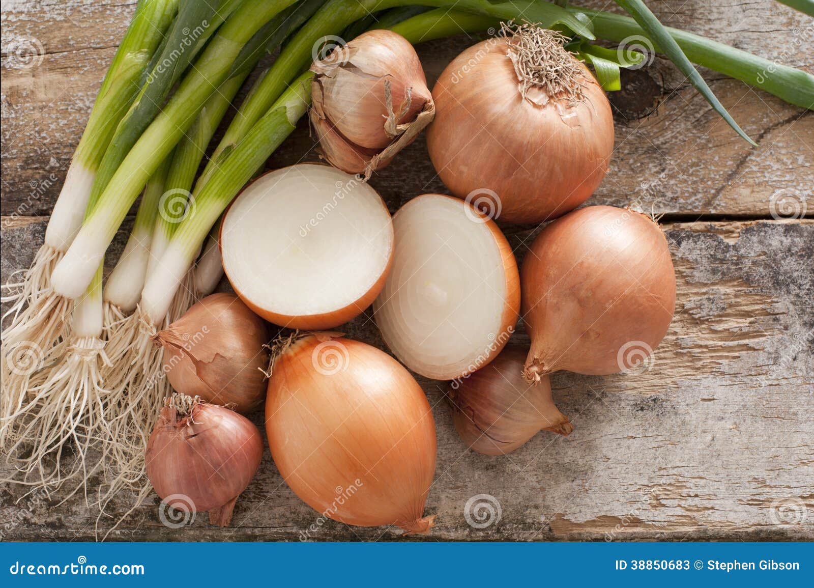 Assorted Farm Fresh Onions on a Rustic Table Stock Image - Image of ...