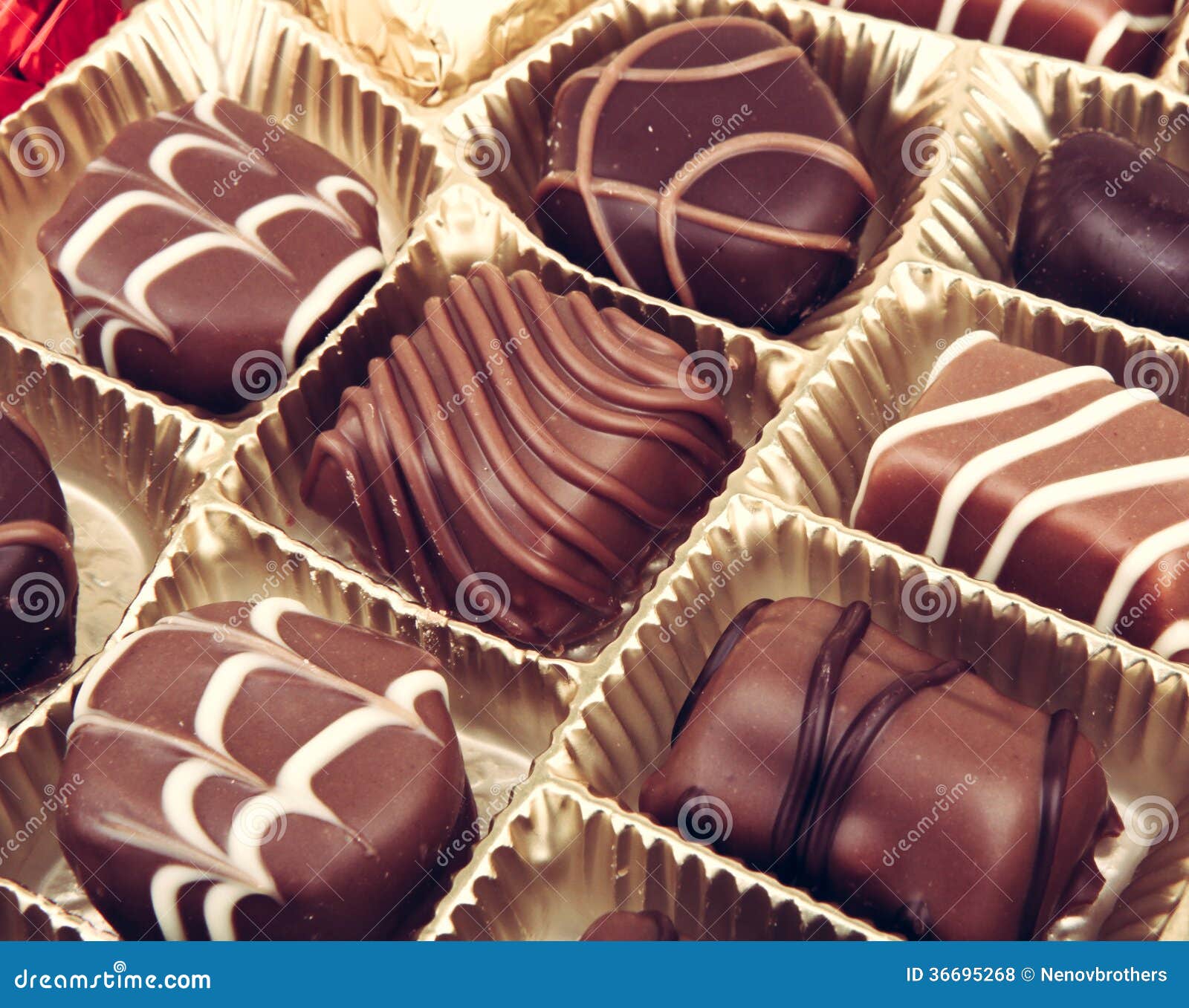 Assorted Fine Chocolates stock photo. Image of gourmet - 36695268