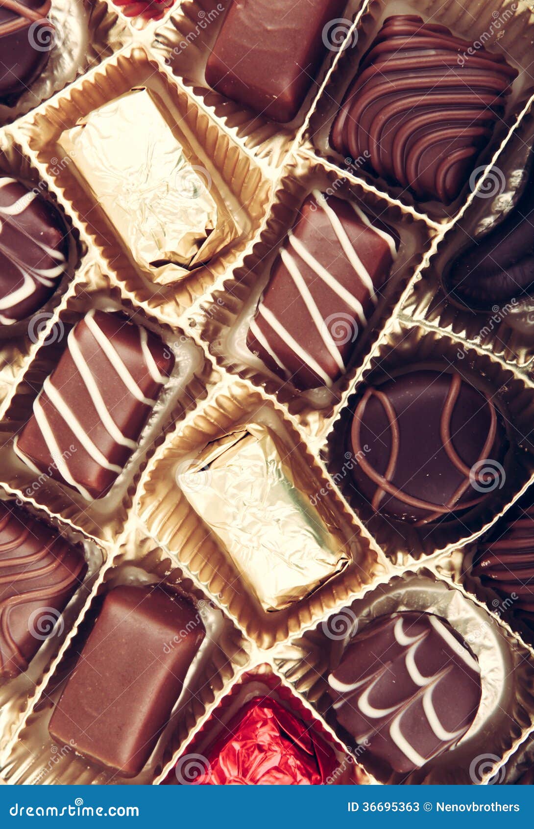 Assorted Fine Chocolates stock image. Image of cocoa - 36695363