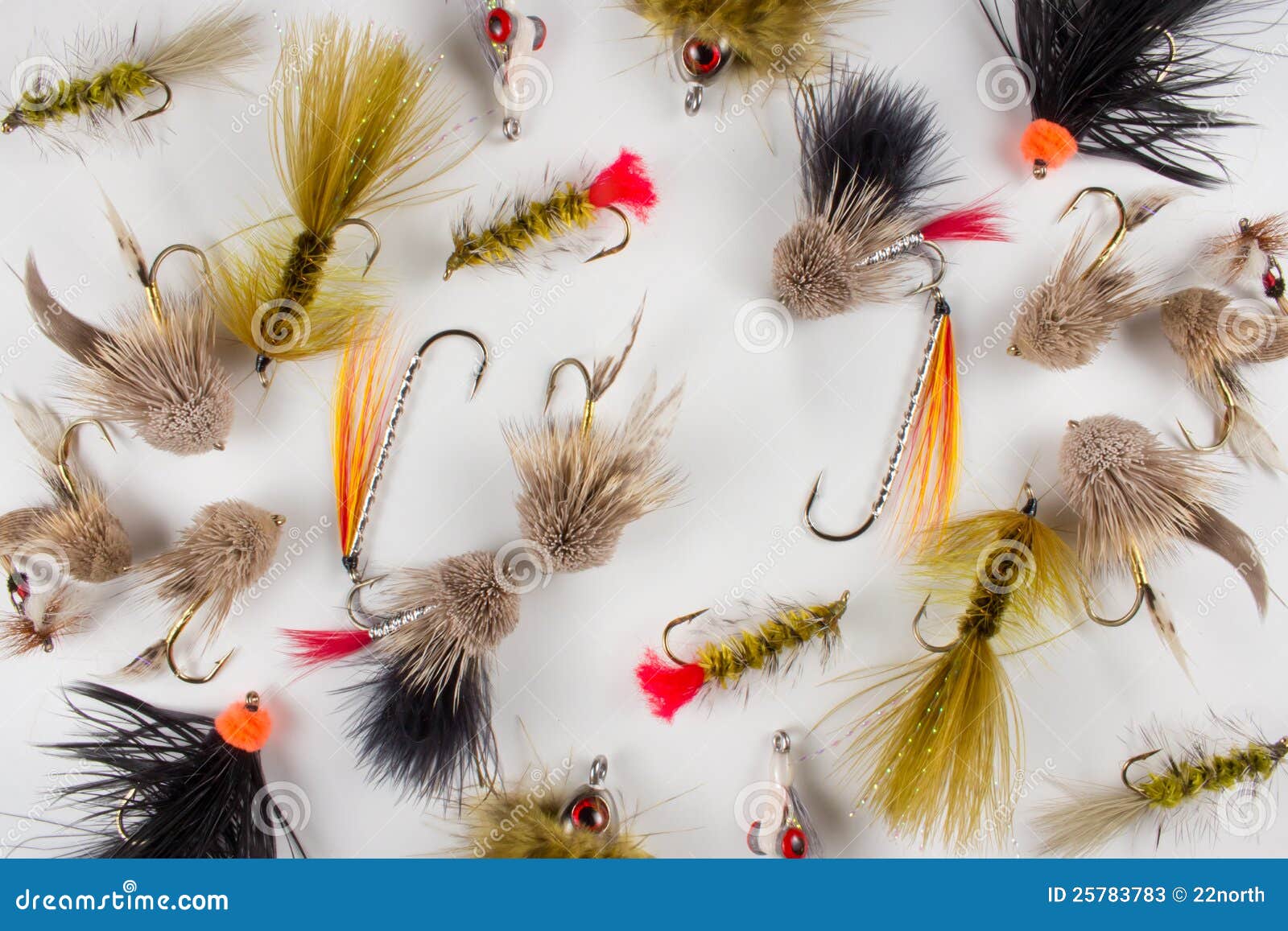 Assorted Flies stock image. Image of flies, hooks, angling - 25783783