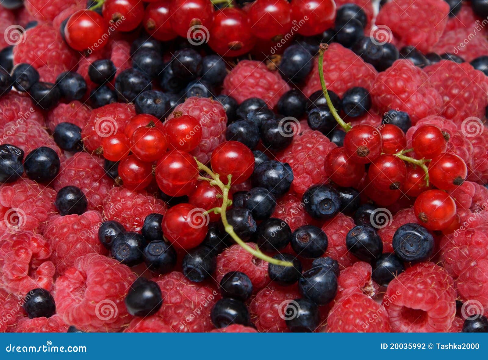 Assorted fresh berries stock photo. Image of antioxidant - 20035992 Assorted fresh berries stock photo. Image of antioxidant - 20035992