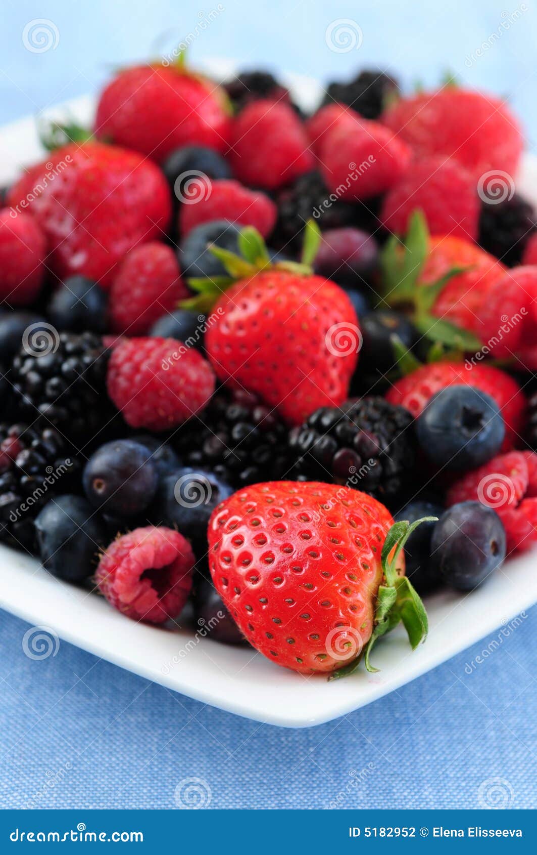 Assorted fresh berries stock photo. Image of healthy, berries - 5182952