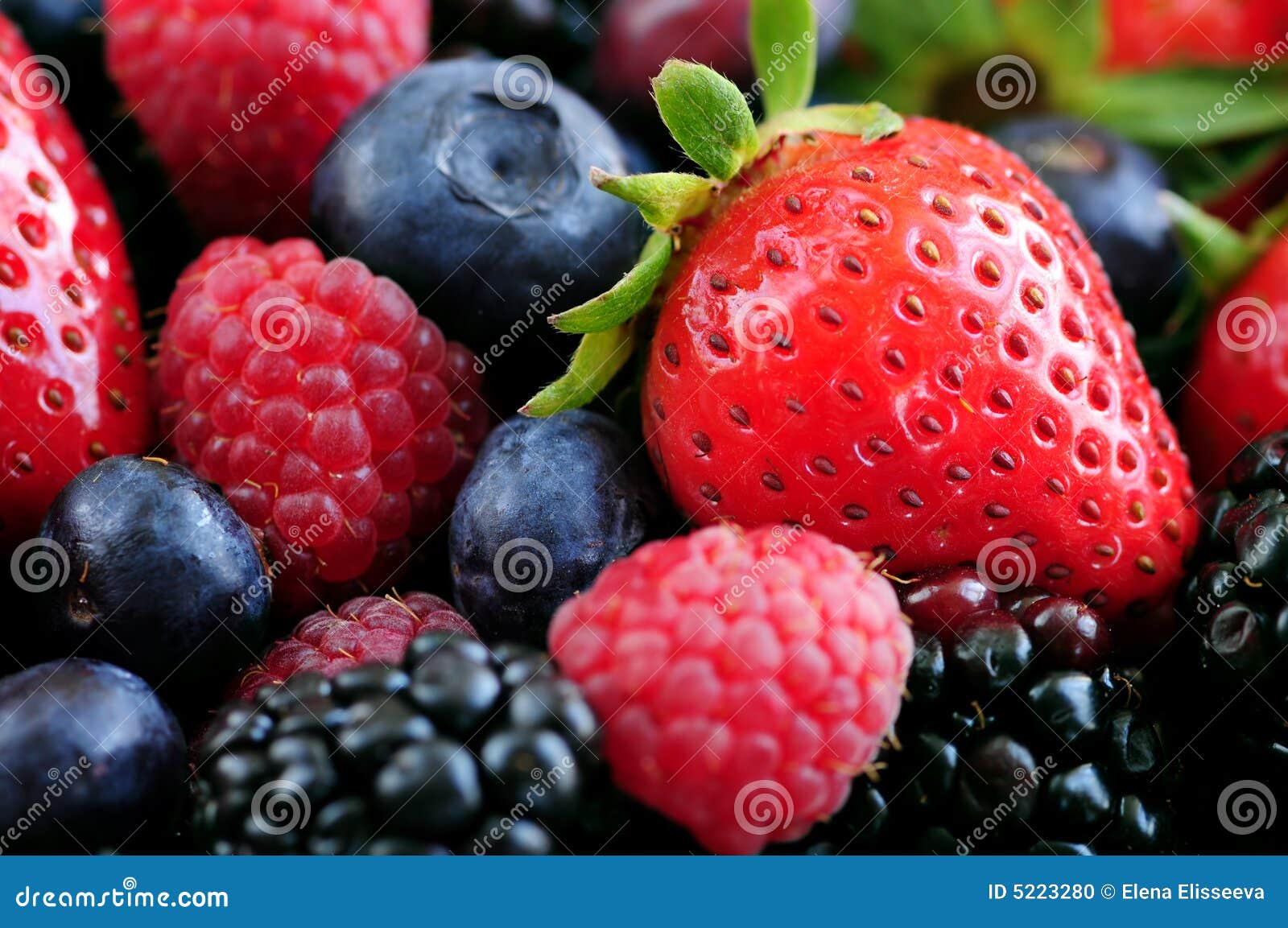 Assorted fresh berries stock photo. Image of fresh, background - 5223280