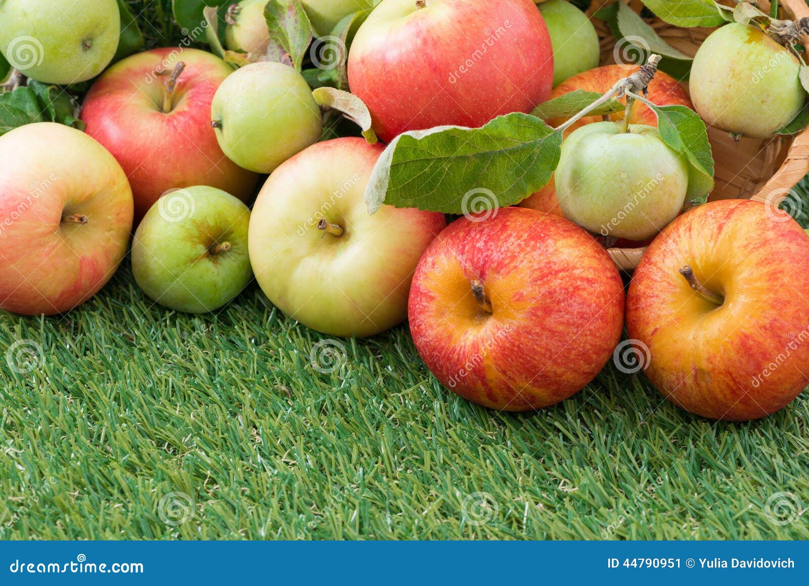 Assorted Fresh Garden Apples on Green Grass, Horizontal Stock Image ...