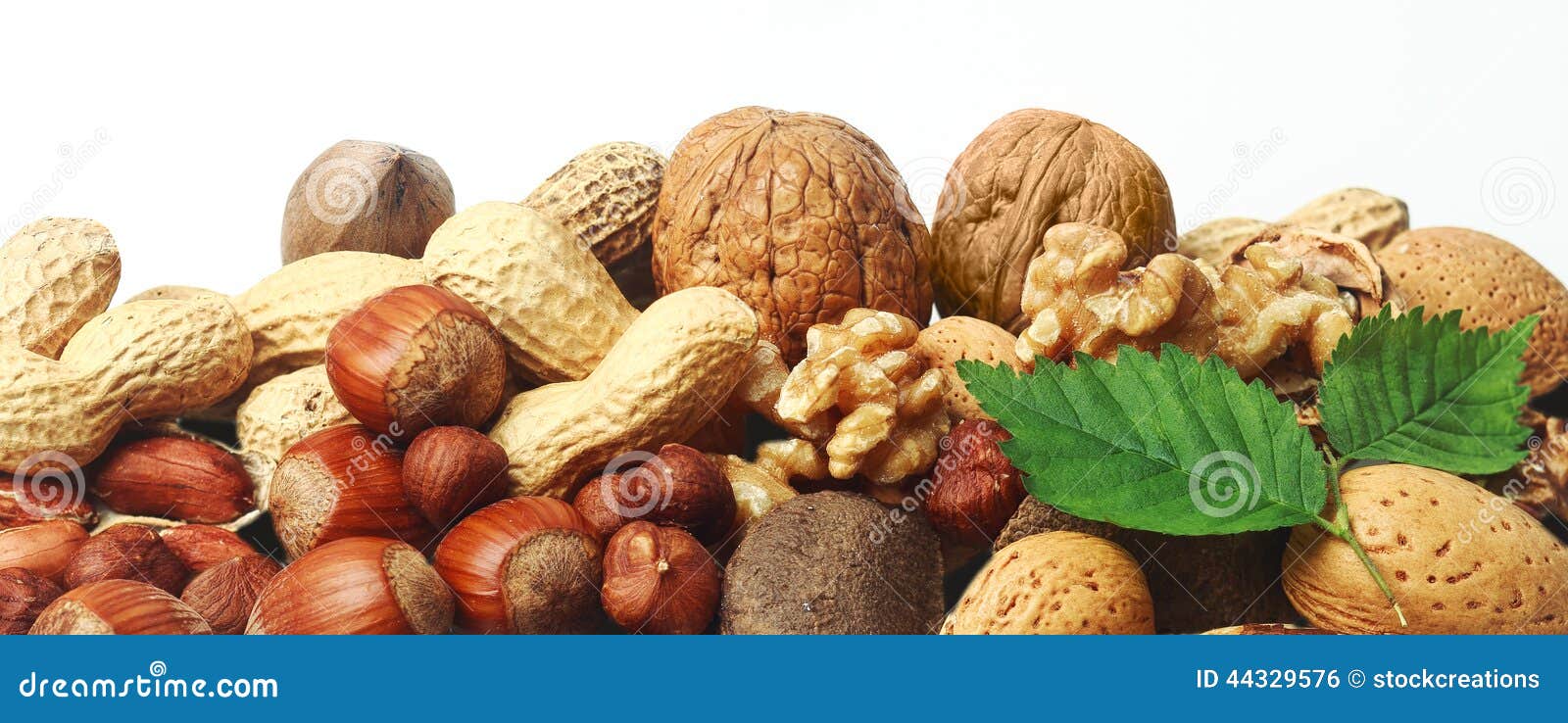Assorted Fresh Nuts Horizontal Banner Stock Photo - Image of hazelnut ...