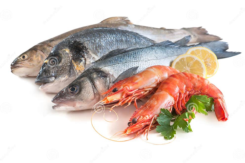 Assorted fresh seafood stock photo. Image of isolated - 51405848