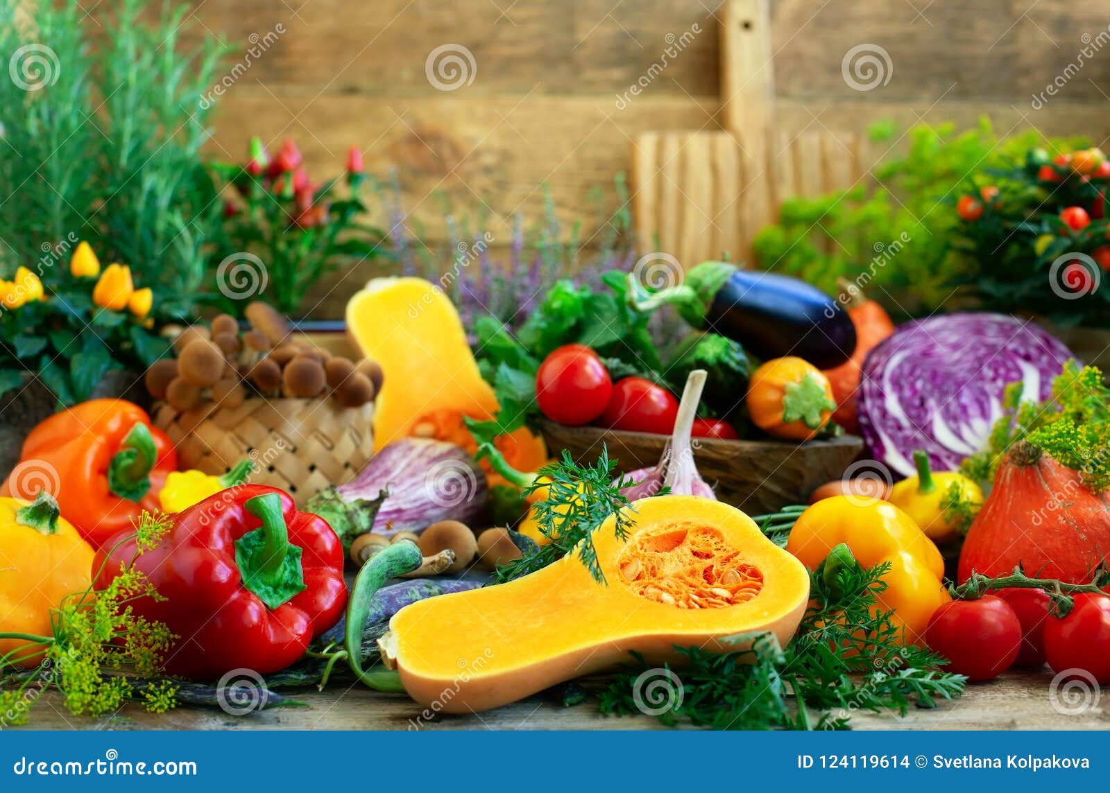 Assorted fresh vegetables stock photo. Image of leaf - 124119614