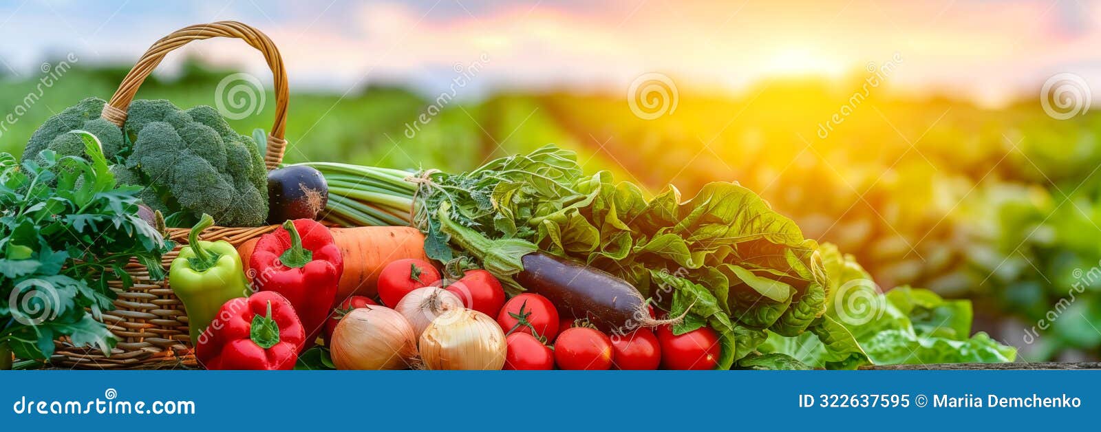 Assorted Fresh Vegetables in Wicker Basket on Field in Sunset Light ...