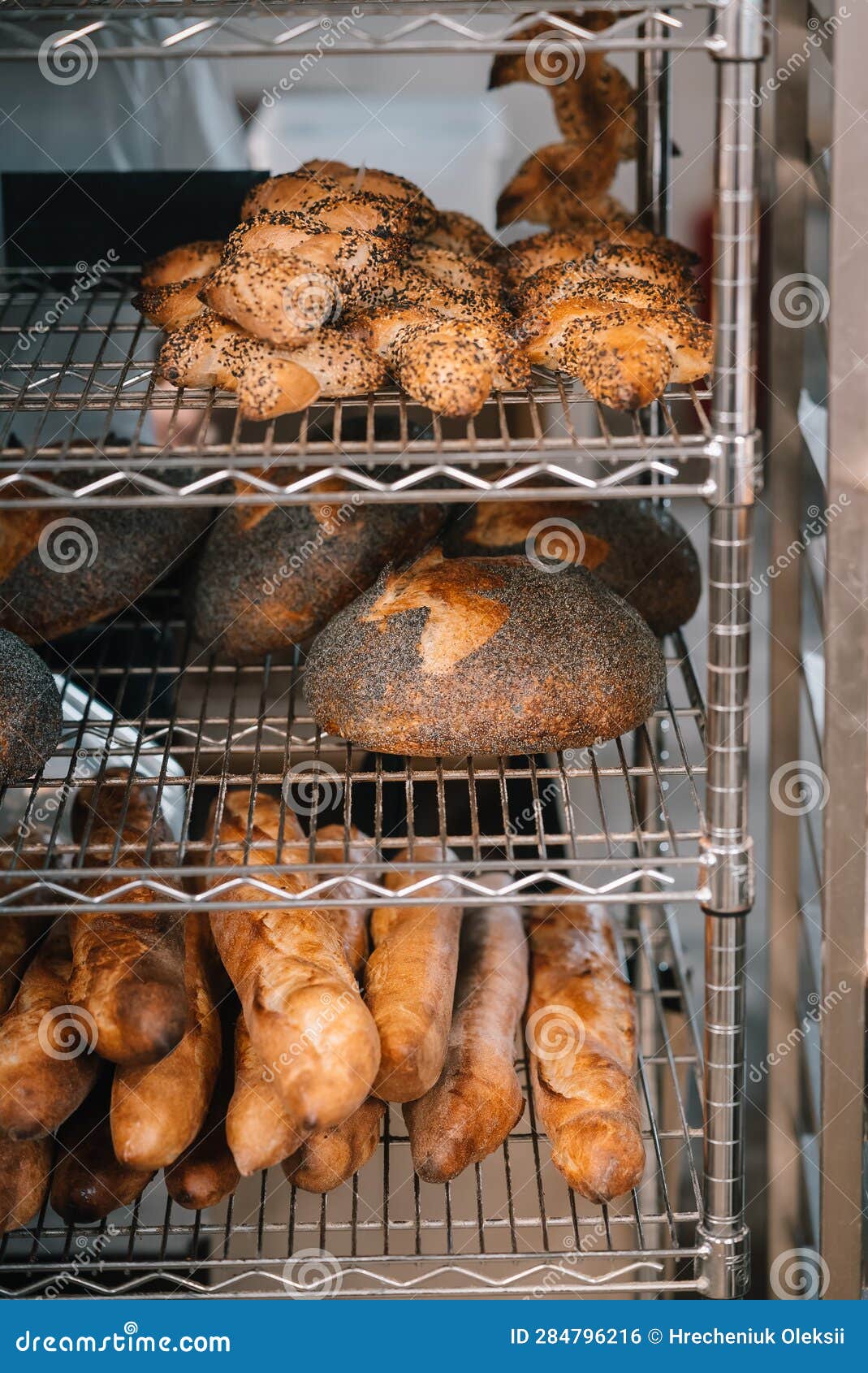 Assorted Freshly Baked Bread Types Displayed on the Oven Racks. Stock ...