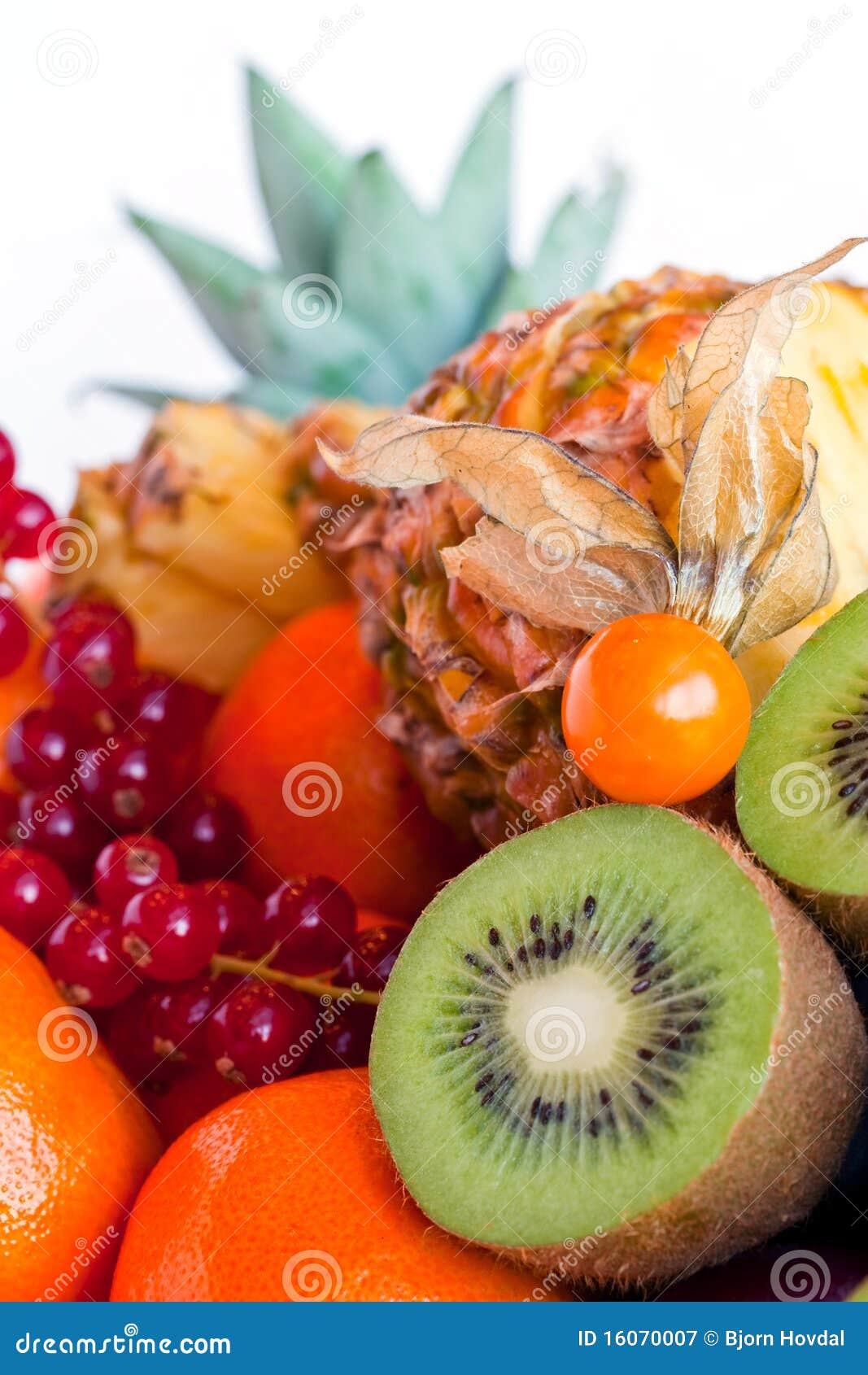 Row Of Assorted Fruit Royalty-Free Stock Photography | CartoonDealer ...