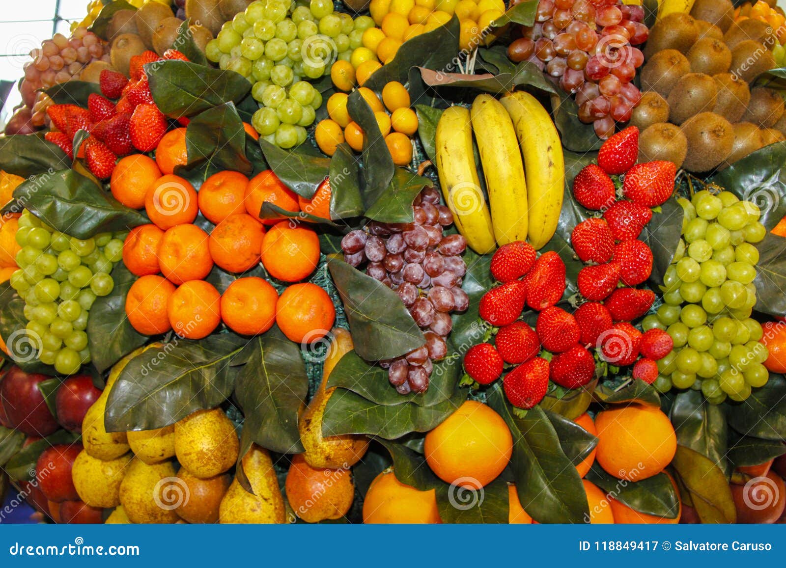 Assorted Fruit of Different Colors Displayed during a Food and Wine ...