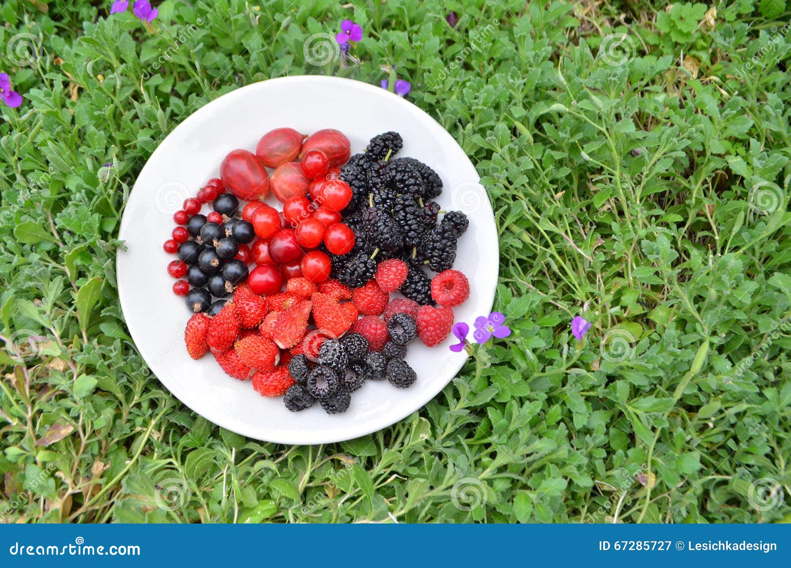 Assorted garden berries stock image. Image of background - 67285727