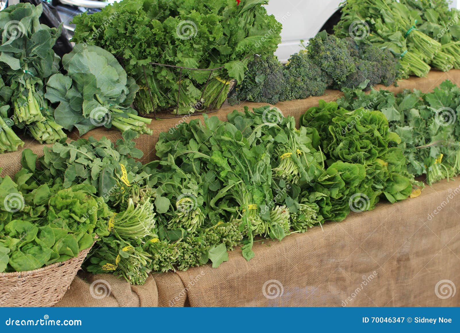 Assorted Greens 2 stock image. Image of food, display - 70046347