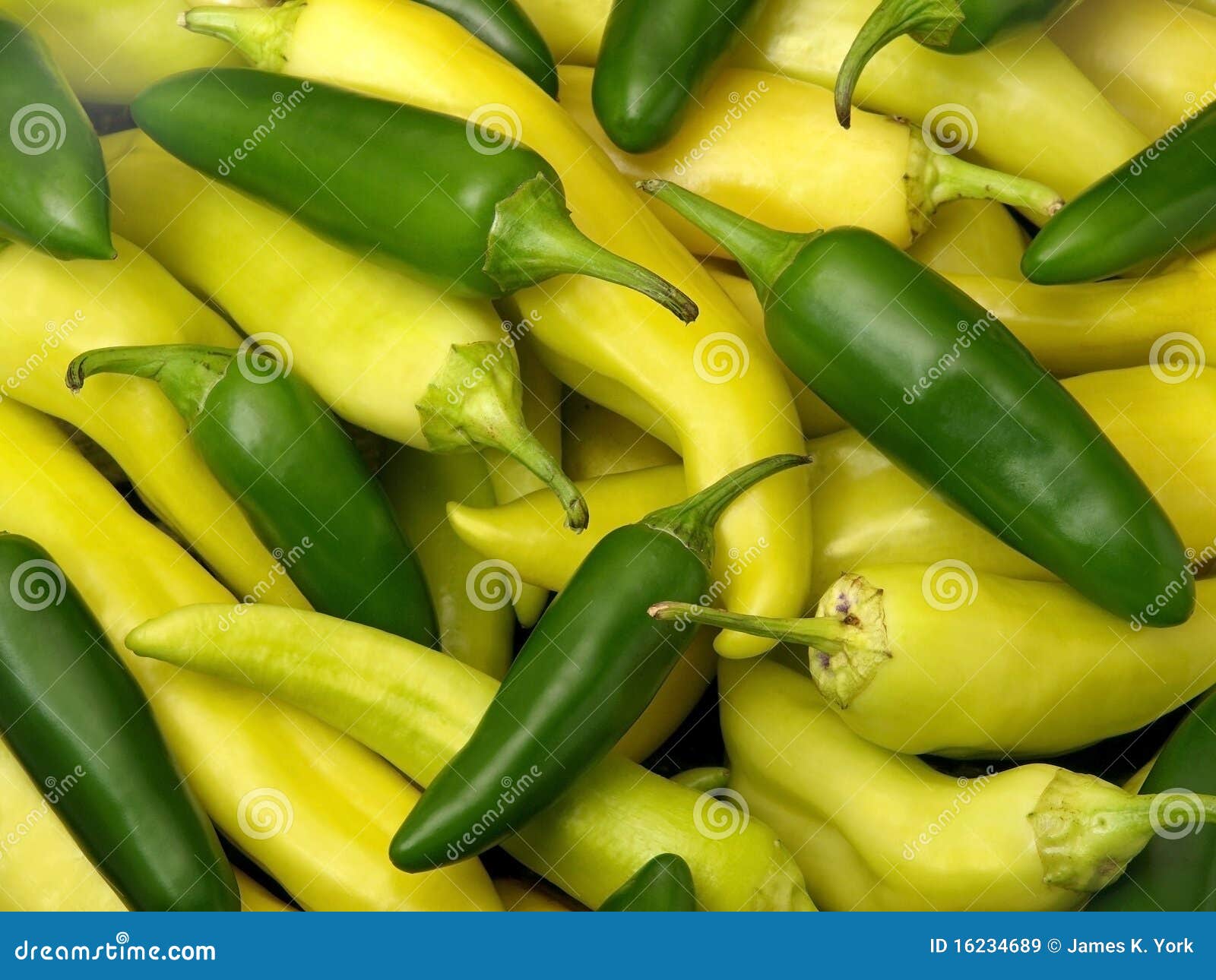 Assorted hot peppers stock image. Image of kitchen, peppers - 16234689